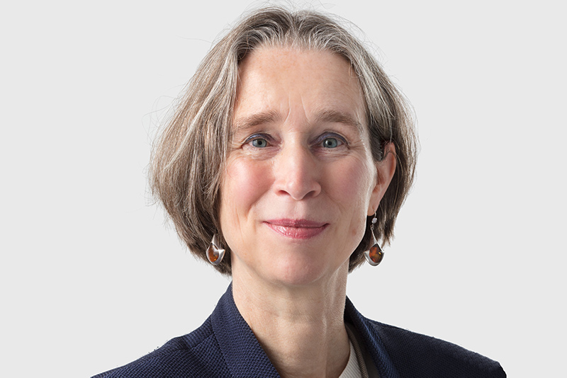 Dr. Anne Margreet As-Vijvers - CODART
