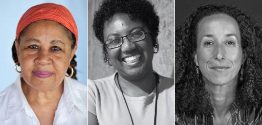 History, Memory, and Legacy: Jamaica Kincaid, Rosana Paulino, and Cheryl Finley in Conversation ...