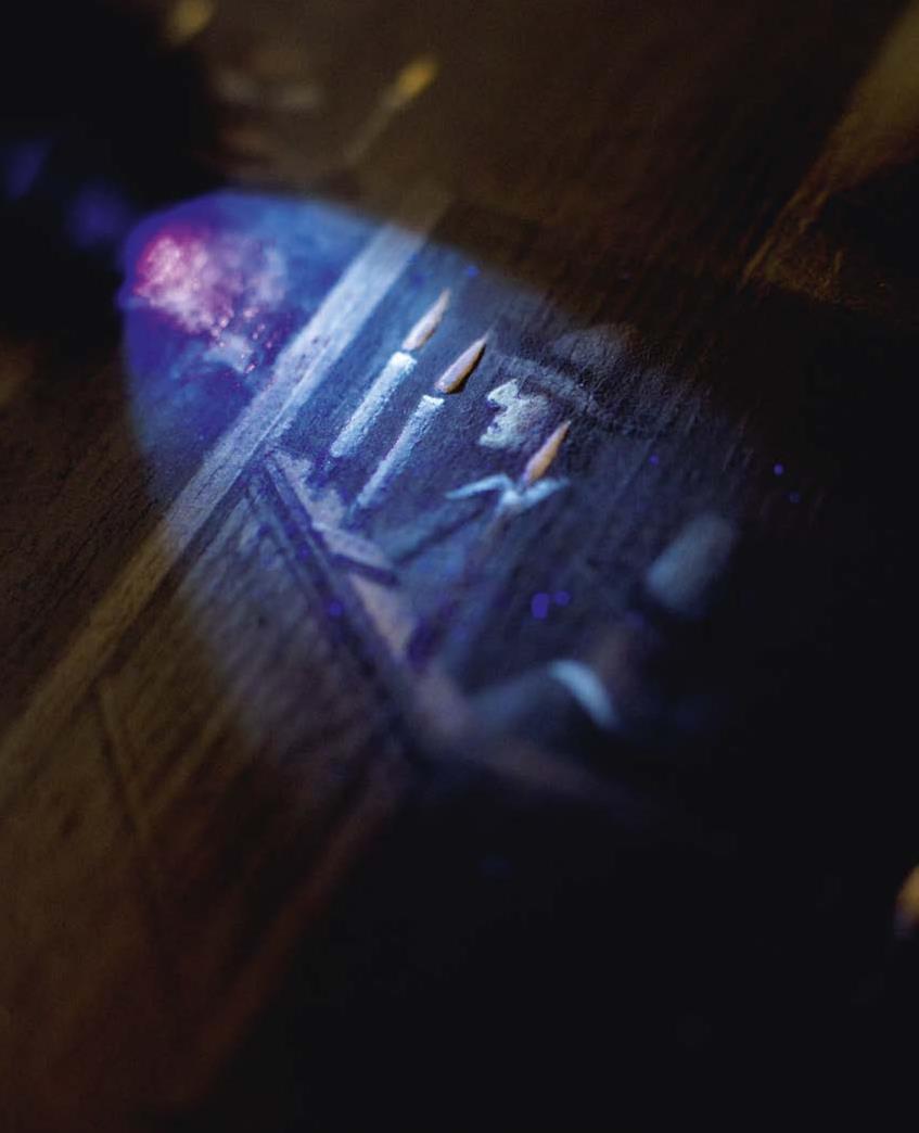 Unearthing the Enigmatic Jacobus Vrel - CODART